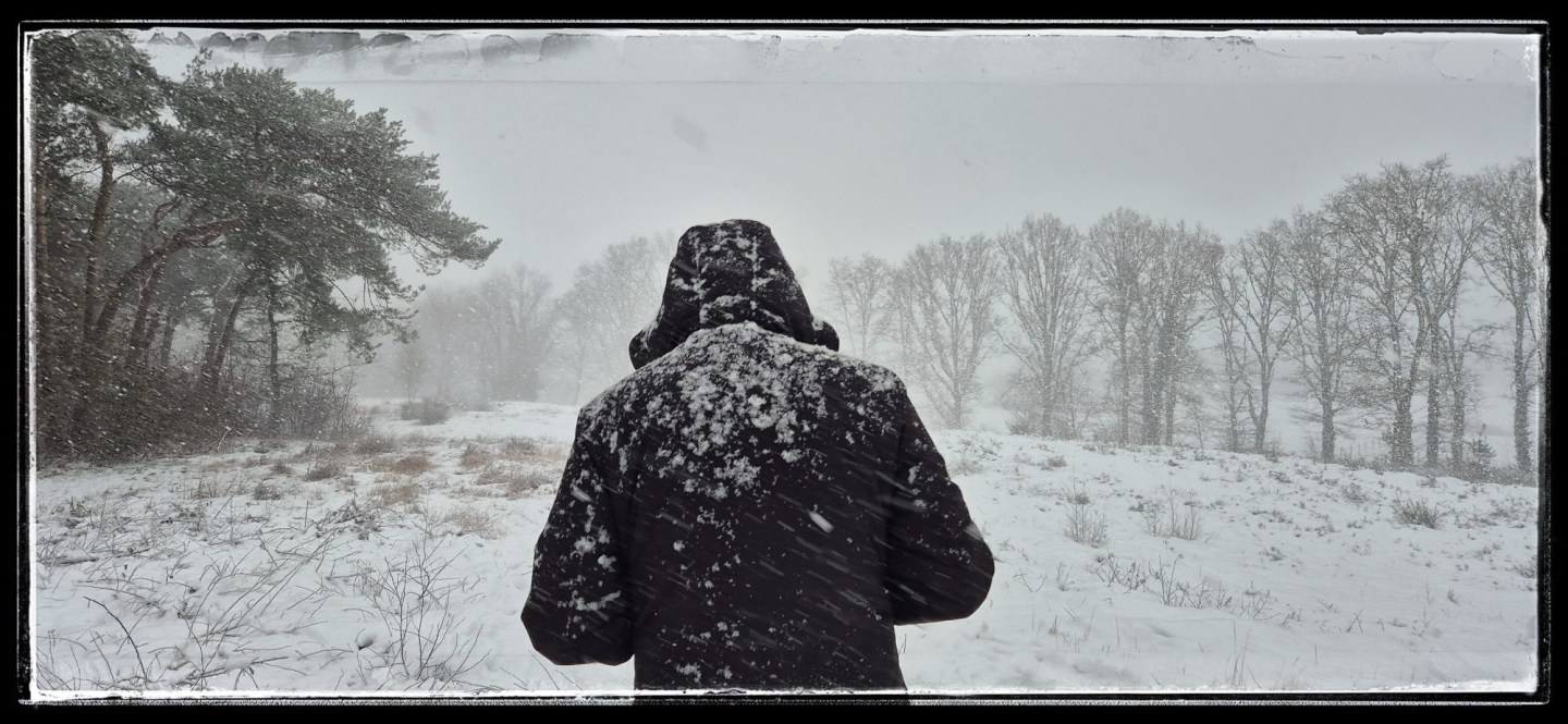 Self Portrait – EcoSeasons